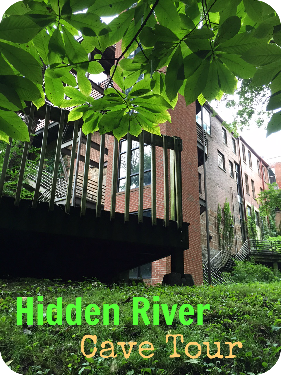 Hidden River Cave - Motherhood Support