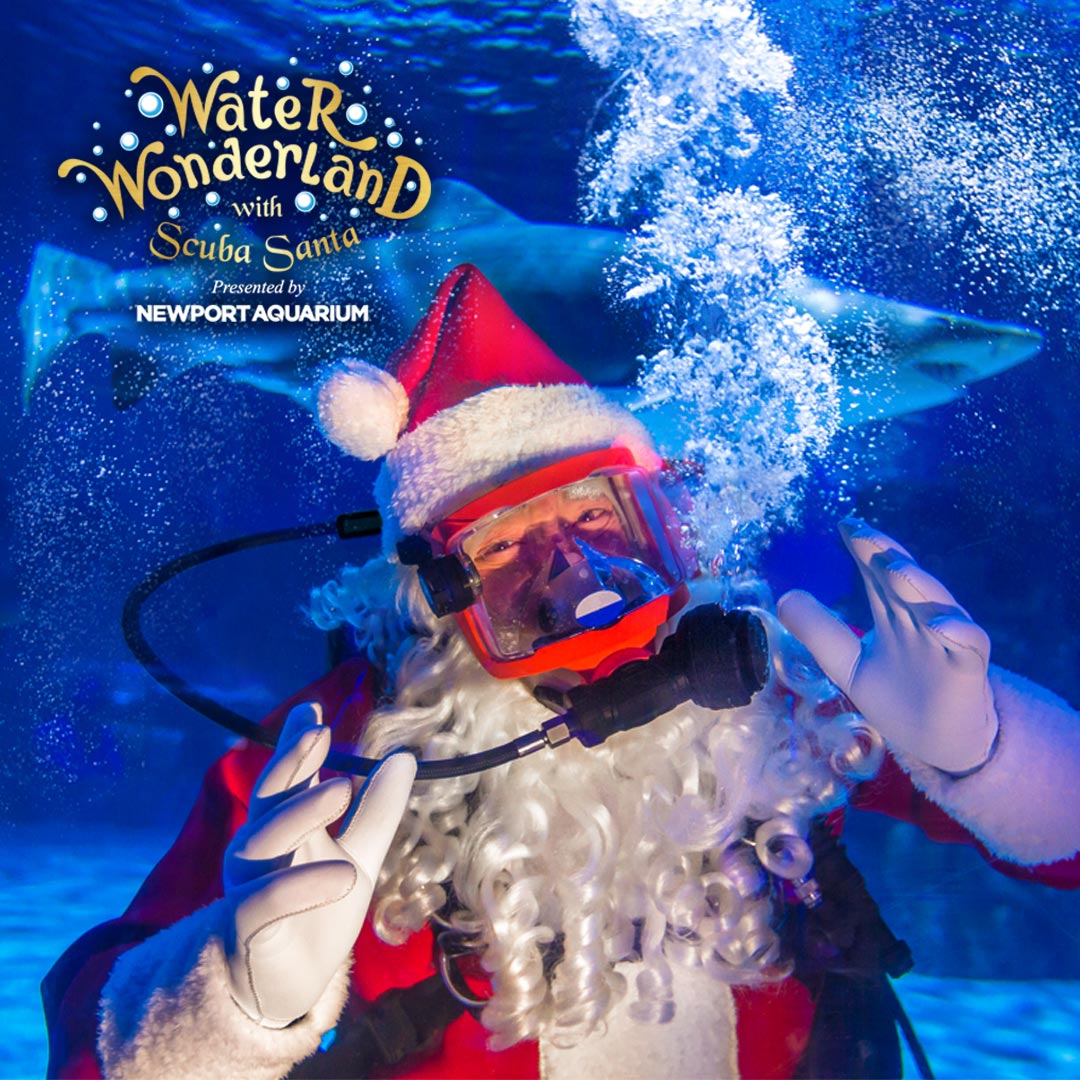 Water Wonderland with Scuba Santa at Newport Aquarium - Motherhood Support